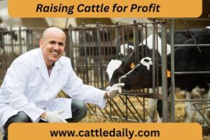 How to Start a Profitable Cattle Farming Business as a Beginner ...