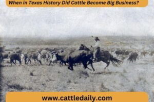 When in Texas History Did Cattle Become Big Business? - Cattle Daily