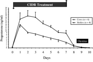 Maximizing Reproductive Efficiency: The Use of CIDR Inserts in Cows and Heifers