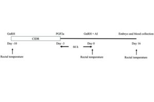 Maximizing Reproductive Efficiency: The Use of CIDR Inserts in Cows and ...