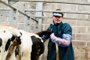 The Essential Calving Toolkit: Preparing with a Complete Supplies Checklist