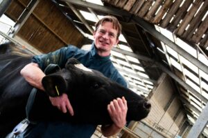 Beginner's Guide to Raising Cattle: Breed Selection, Facilities, Nutrition, Health and Handling