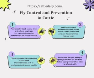 Comprehensive Fly Control for Cattle Farms