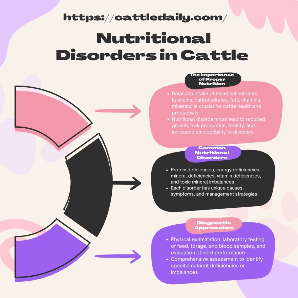 Mastering Cattle Nutrition: Identifying and Addressing Nutritional ...