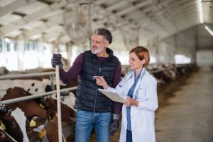 Cattle Vaccine Types and Uses: Protecting Your Herd's Health