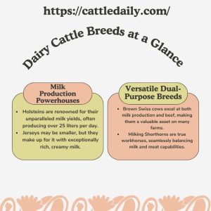 Top 6 Dairy Cattle Breeds for Milk Production: Characteristics & Benefits