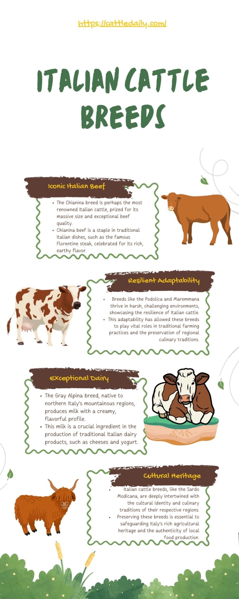 The Diverse World of Italian Cattle Breeds